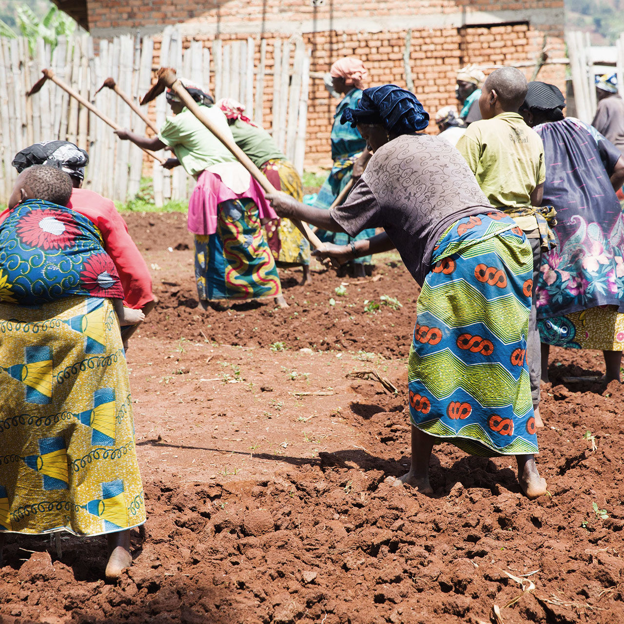 Asili | Project | IDEO.org